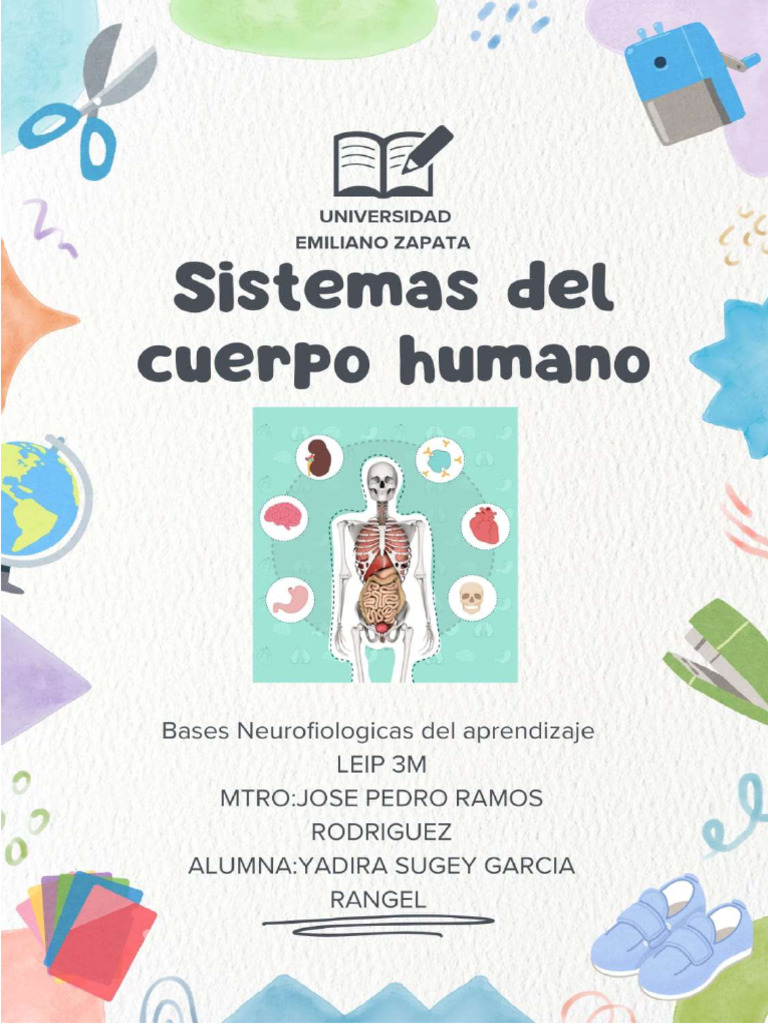 Actividad Sistemas Del Cuerpo Humano | PDF