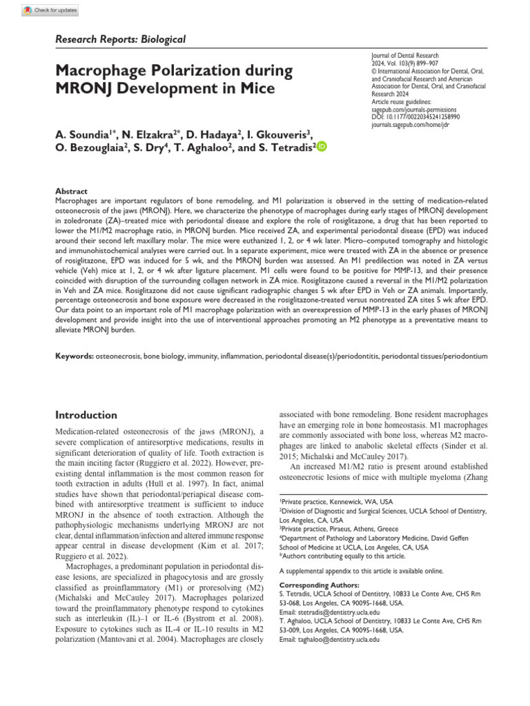 Macrophage Polarization in MRONJ Development | PDF | Macrophage ...