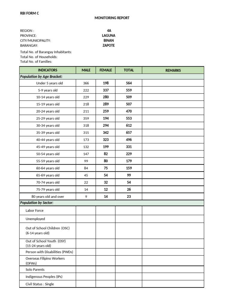 4.7.1 RBI-FORM-C-Summary-of-Report-revised-Age-Bracketing-Revised-2024 ...