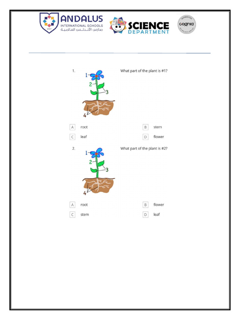 U3 - M1 - L1 - Survival of Organisms. With Answers | PDF