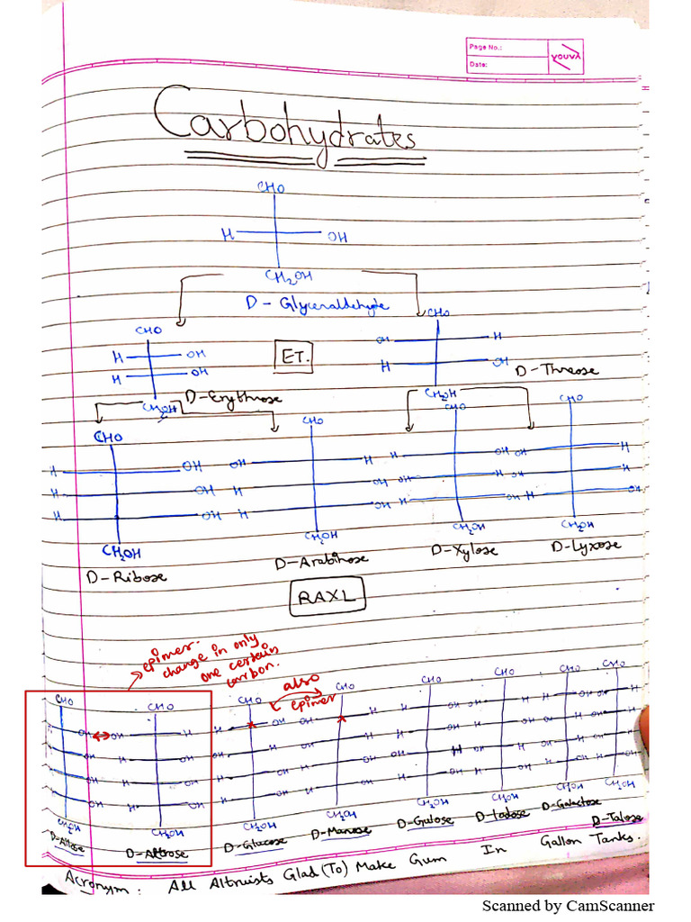 Biomolecules 1 | PDF
