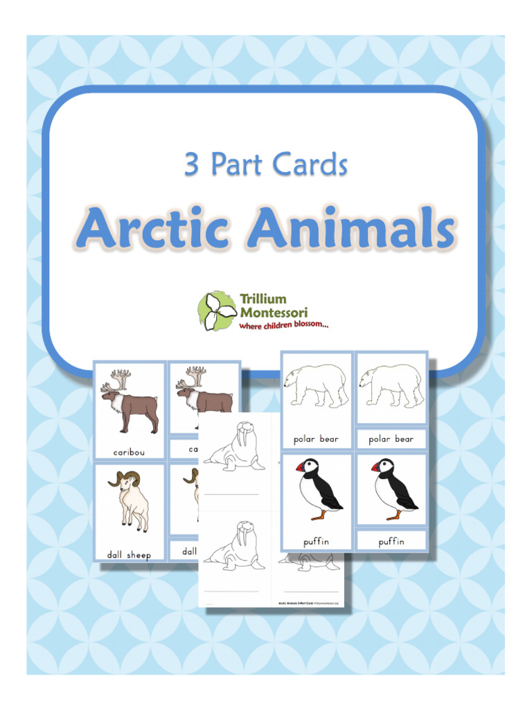 Arctic Animals by Trillium Montessori | PDF | Arctic
