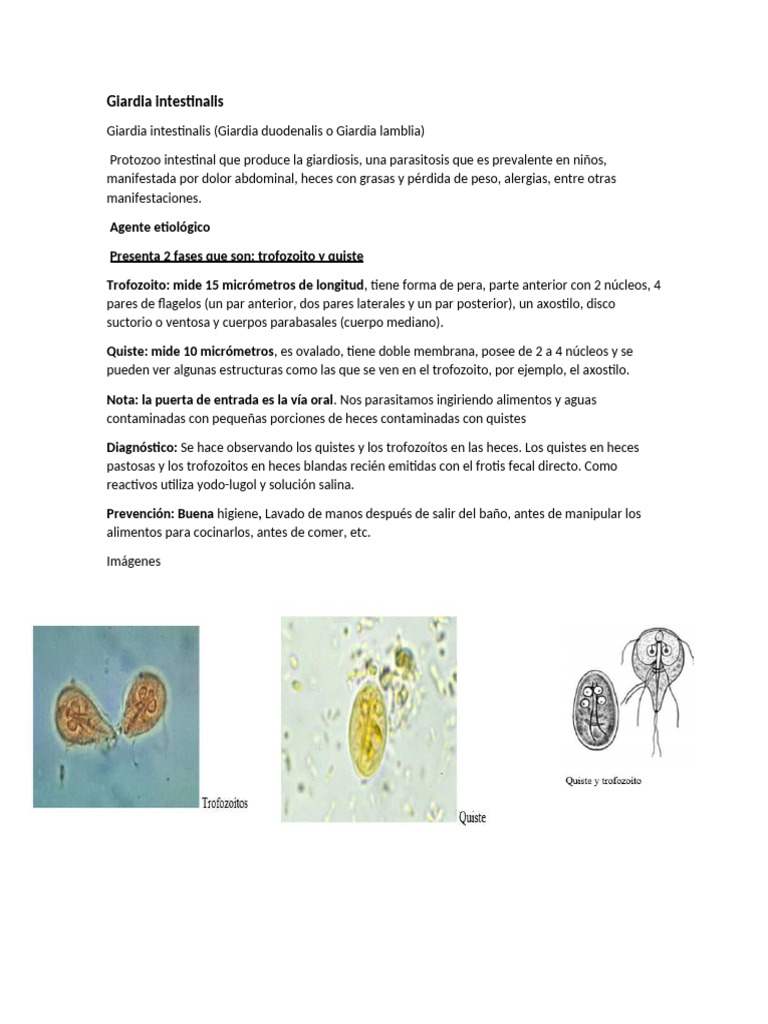 Giardia Intestinalis | PDF | Microbiología