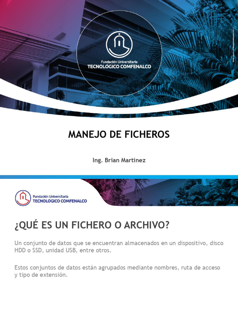 Manejo Ficheros | PDF | Archivo de computadora | Directorio (Computación)