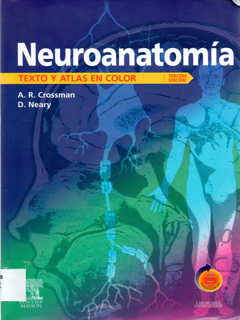 Crossman - Neuroanatomía | PDF