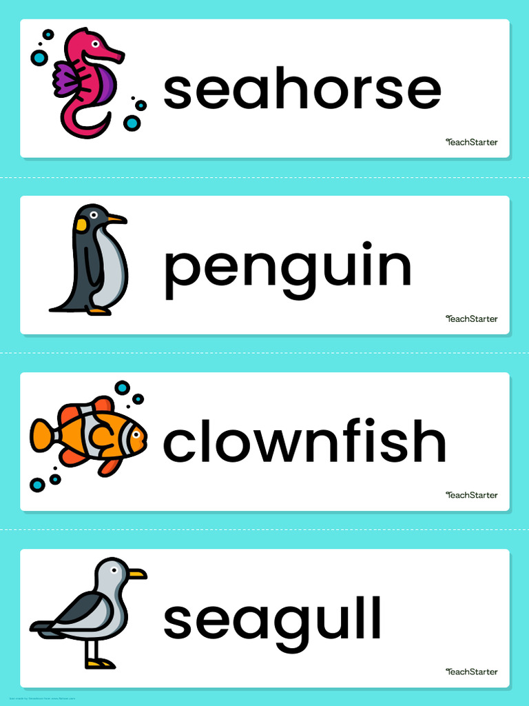 Illustrated Ocean Animals Word Wall Cards COL | PDF | Zoology