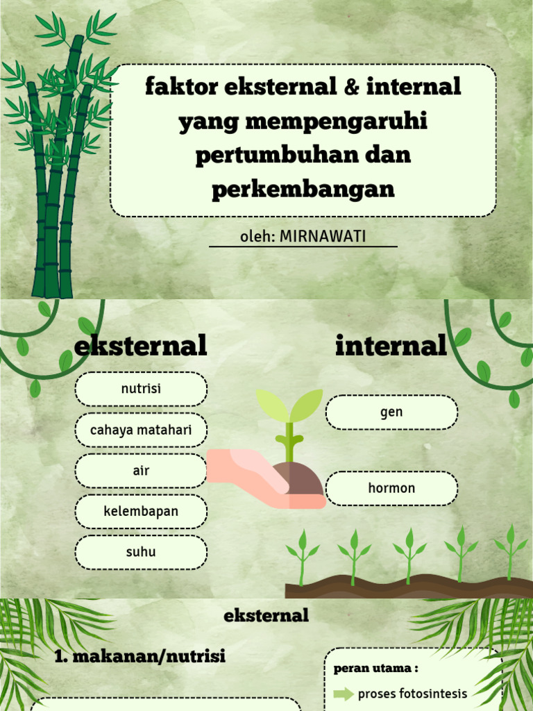 Faktor Internal dan Eksternal Tumbuhan | PDF