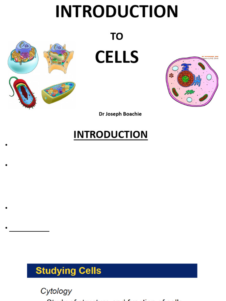 Introduction to Cell Biology Basics | PDF | Cell (Biology) | Eukaryotes