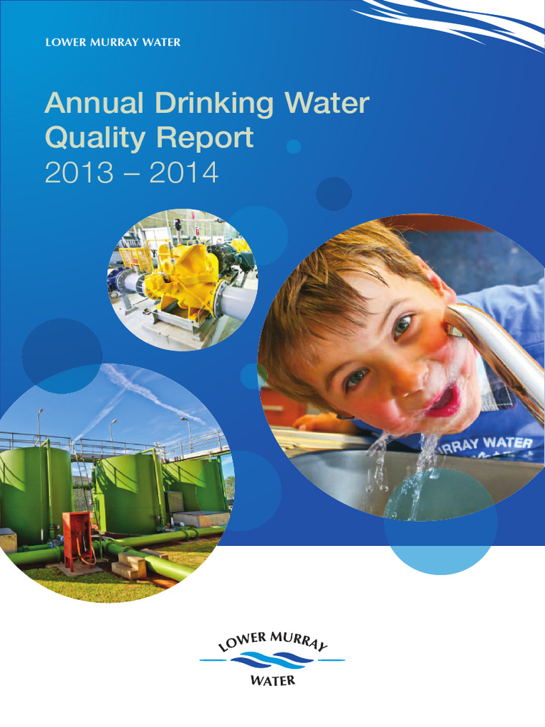 E. coli Water Quality Report 2020 | PDF | Water Purification | Drinking ...