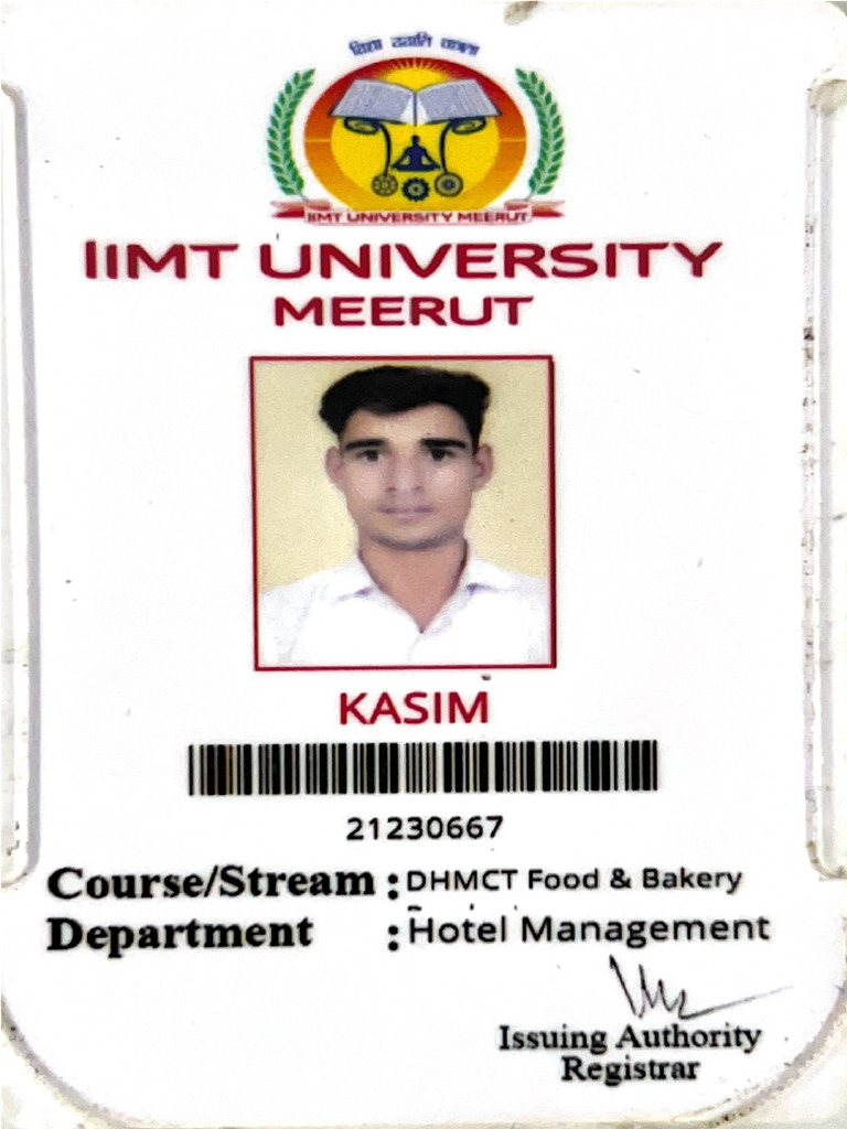 Iimt ICard CV | PDF