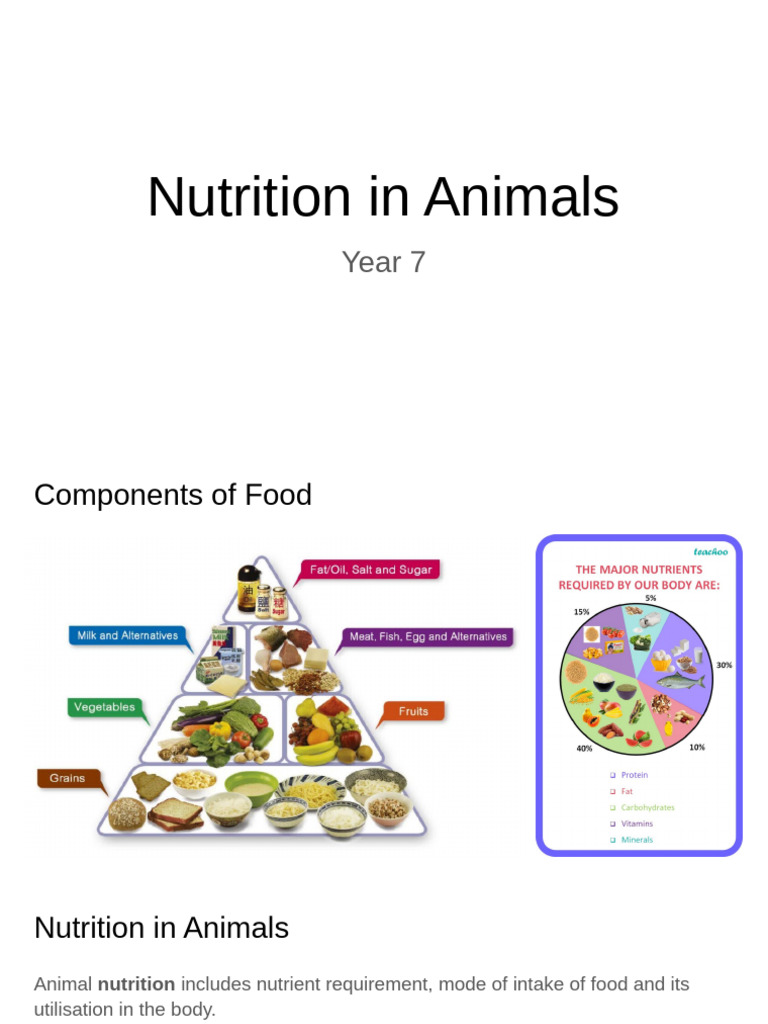 Copy of Year 7 - Nutrition in Animals | PDF