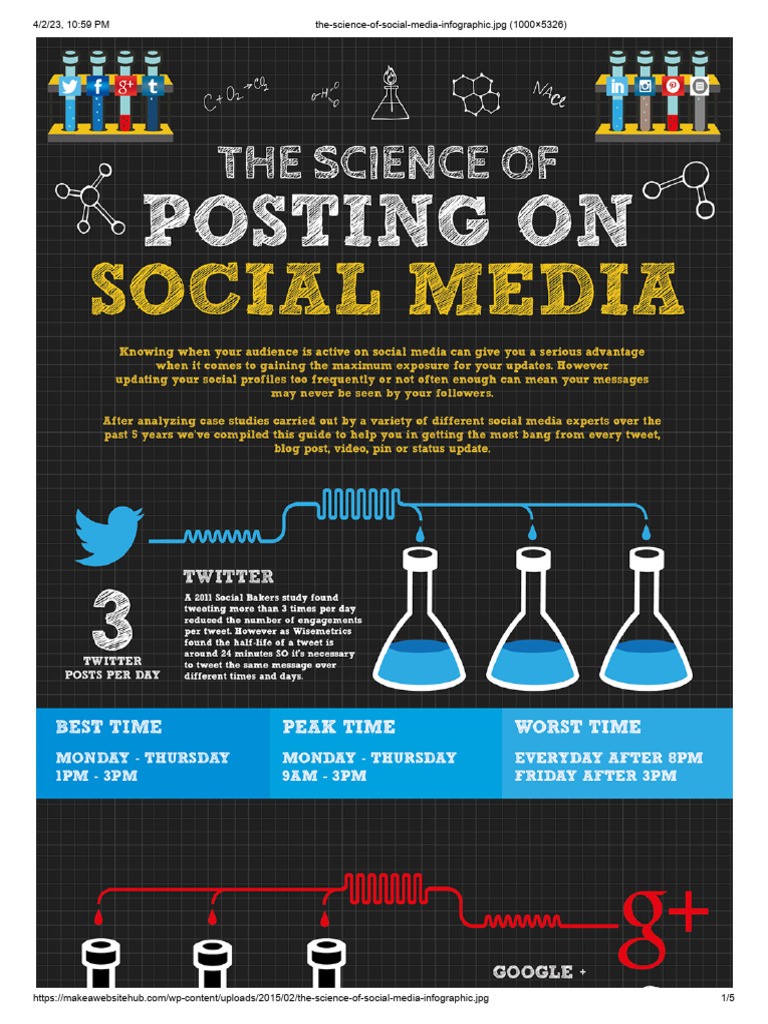 The Science of Social Media Infographic | PDF