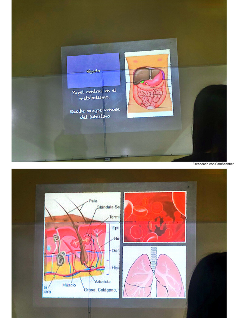 Xeno Biotic Os | PDF