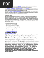 Uffata Aadaa Oromoo | PDF