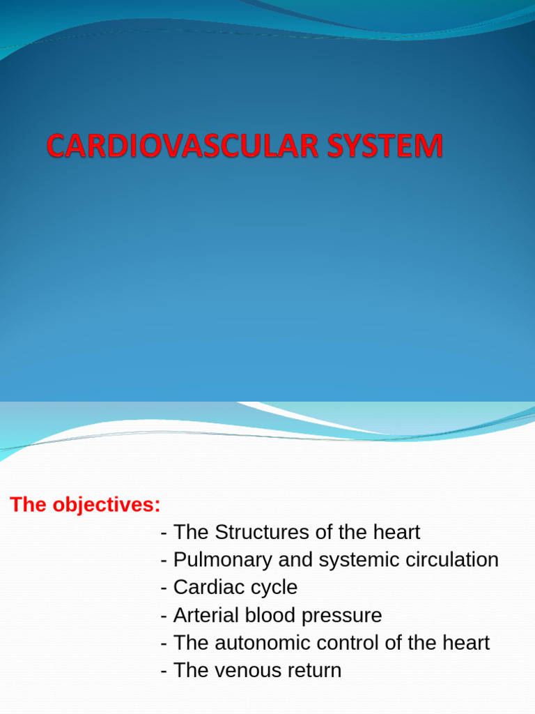 Comprehensive Guide to Heart Anatomy and Circulation | PDF | Heart ...