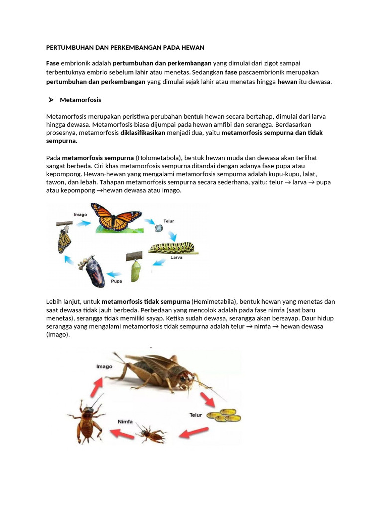 Pertumbuhan Embrionik dan Metamorfosis Hewan | PDF