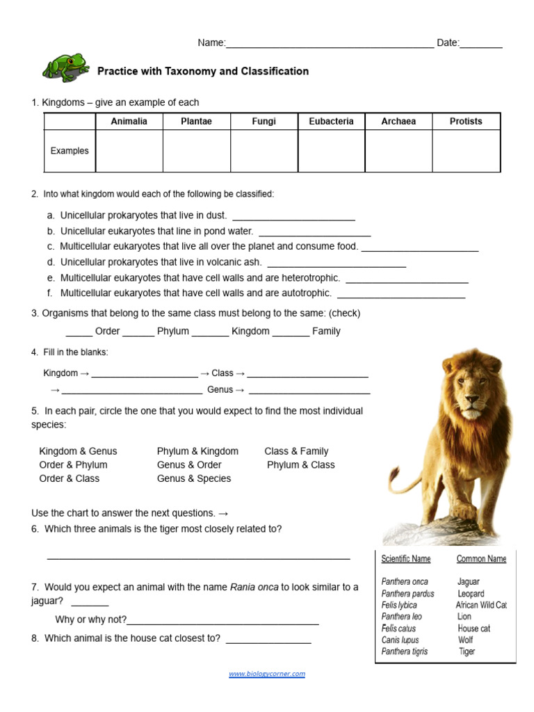 Taxonomy and Classification Practice Worksheet | PDF