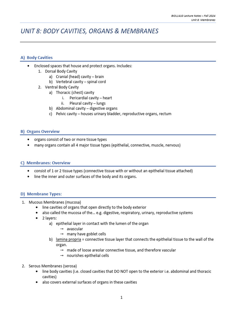 8 - Unit 8 - Body Cavities, Organs, Membranes (2024) | PDF | Epithelium ...