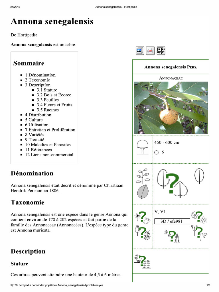 Annona Senegalensis - Hortipedia | PDF
