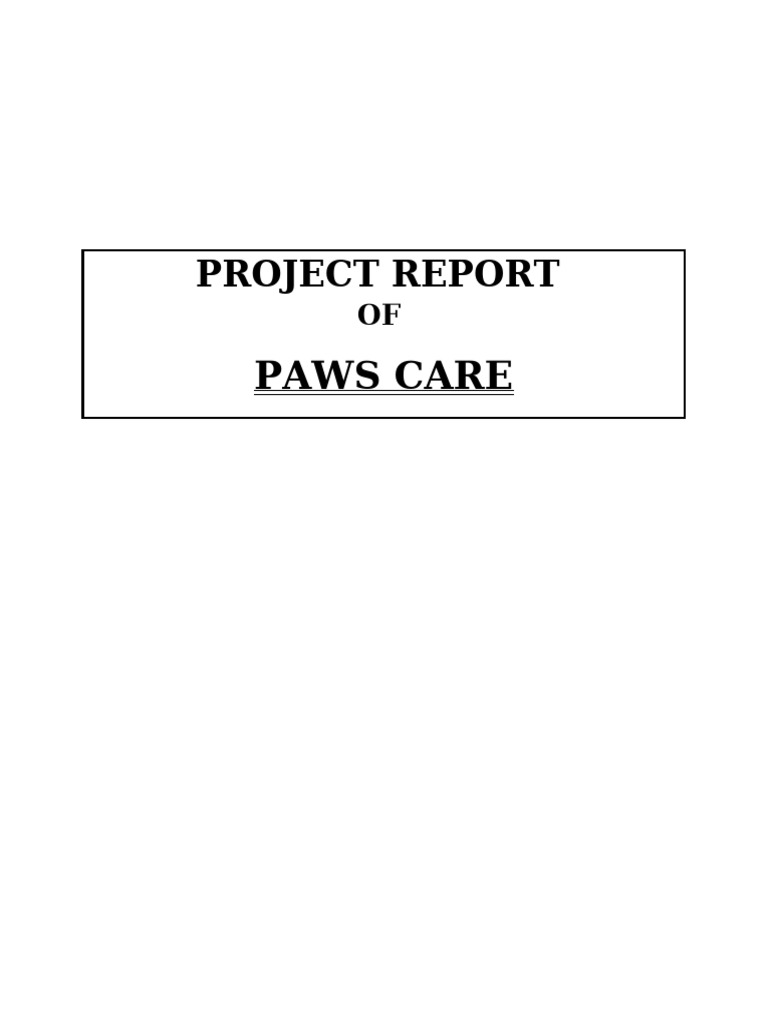 Paws Care Project Financial Overview | PDF | Depreciation | Working Capital