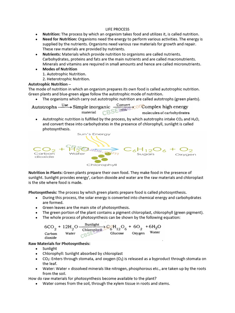 Life Process | PDF | Cellular Respiration | Digestion