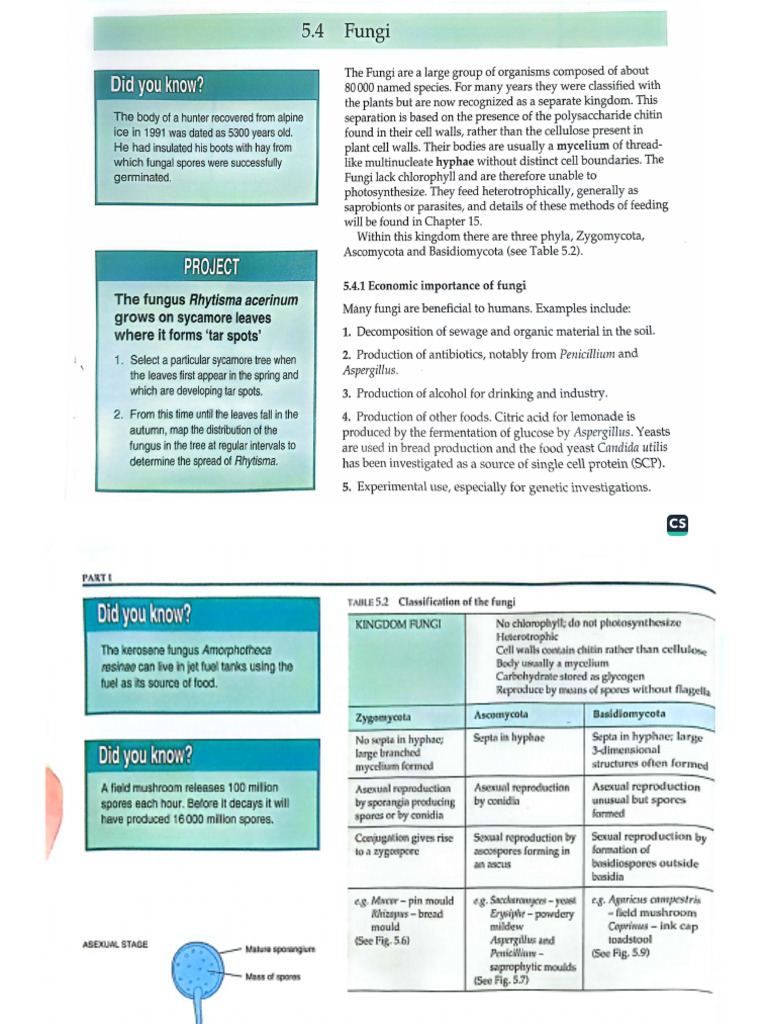 Classification 2 | PDF