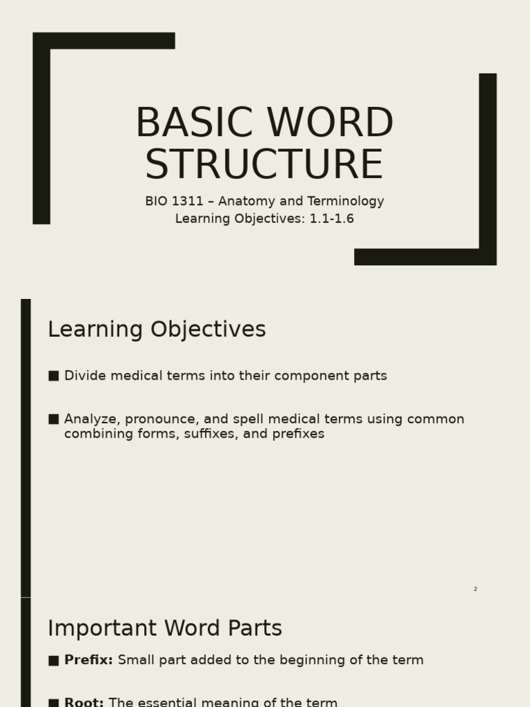1. Basic Word Structure, Prefixes and Suffixes | PDF | Thyroid | Blood ...