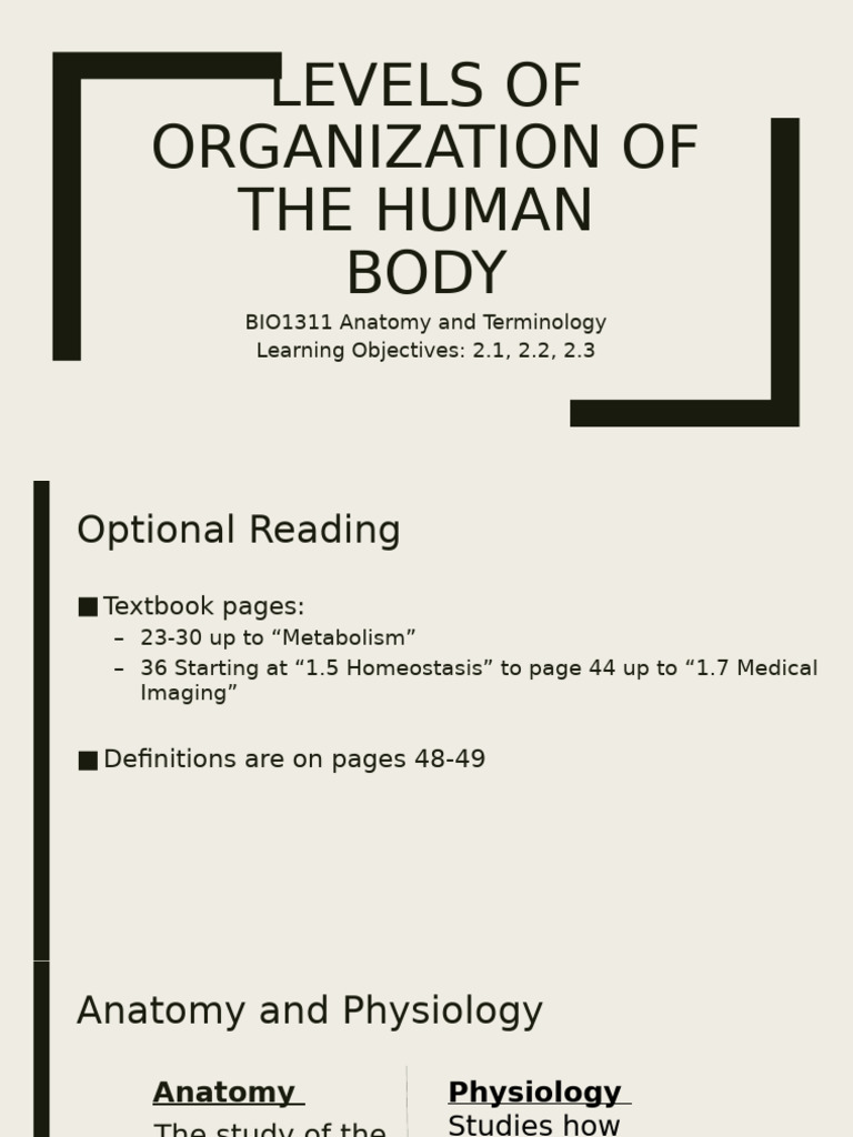 Levels of Organization of The Human Body | PDF | Human Body | Abdomen