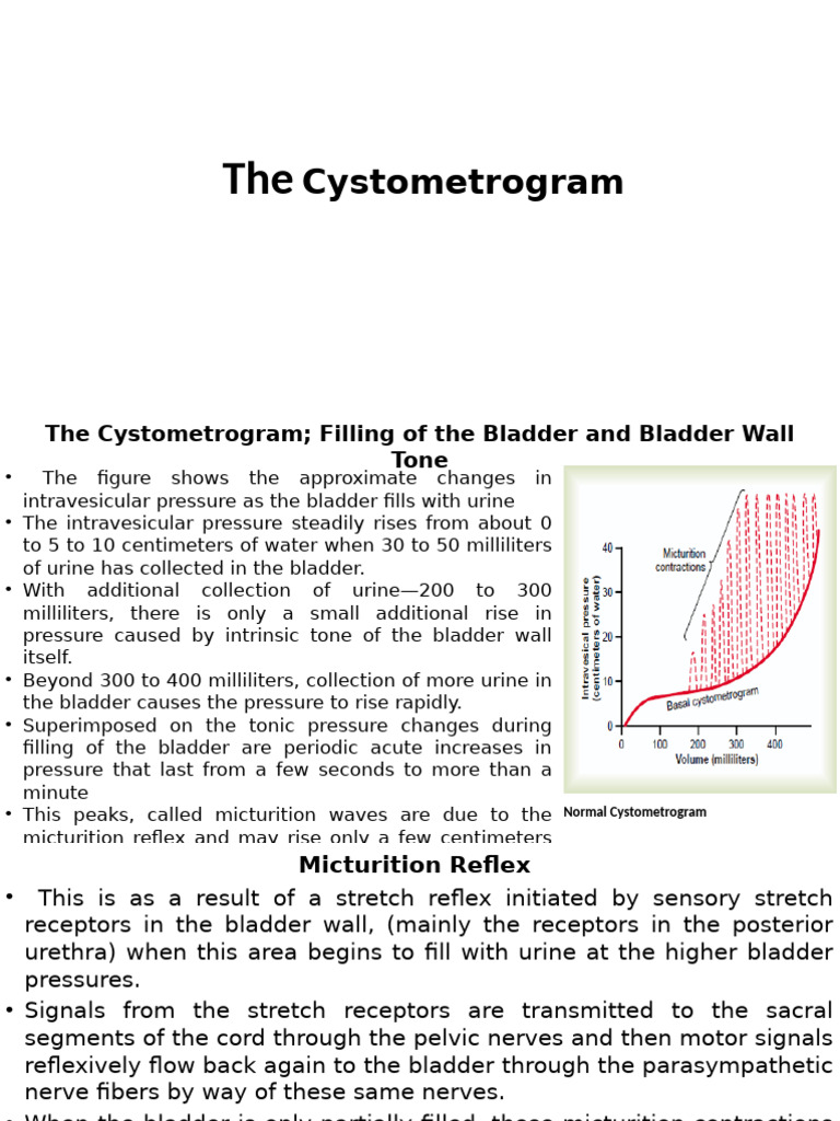 Cytometrogram BMS1,2-1 | PDF | Urination | Neuroanatomy