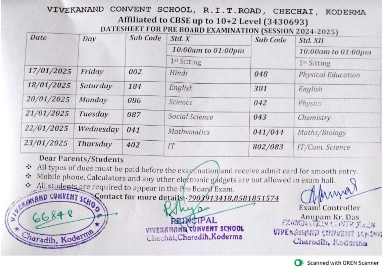 Informatics Practices SrSec 2024-25 | PDF