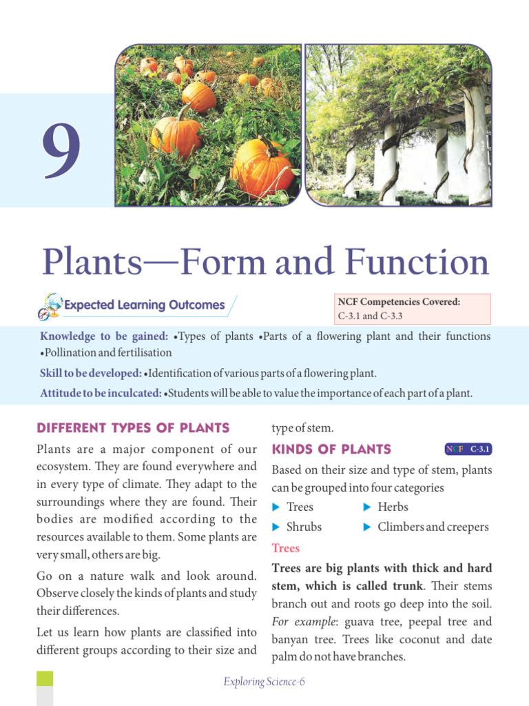 Exp Sc 6 -- Chapter 09 | PDF | Leaf | Flowers