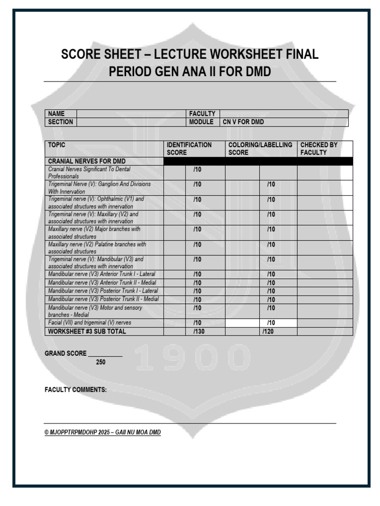 Finals Ga II Lecture Worksheet CN V Complete Guide | PDF | Human Nose | Primate Anatomy