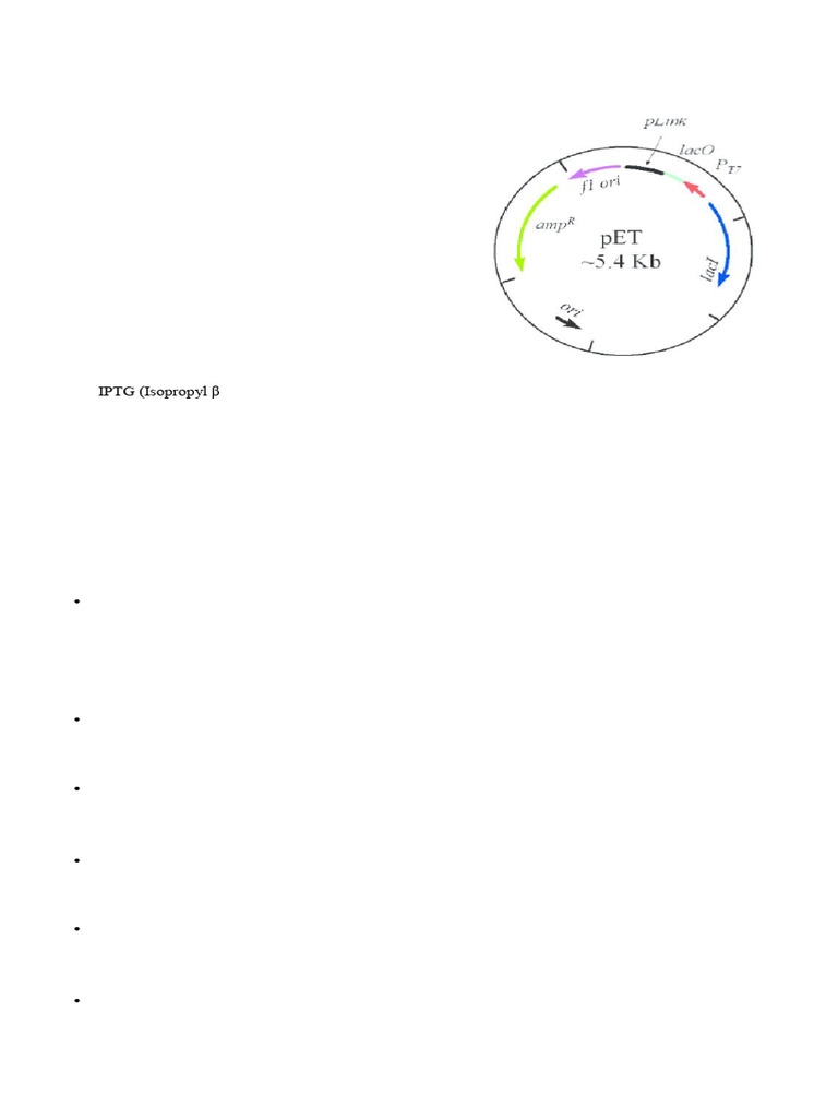 A pET vector is a type of plasmid vector commonly used for protein expression in Escherichia ...
