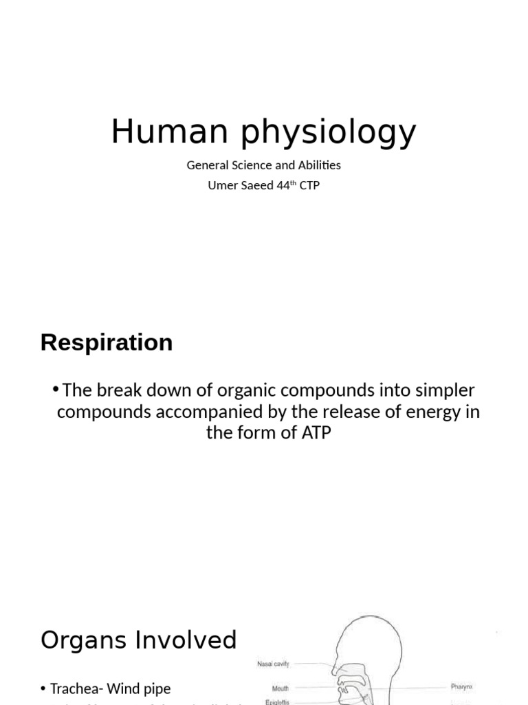 Human Physiology - Basic Terms | PDF | Circulatory System | Central ...
