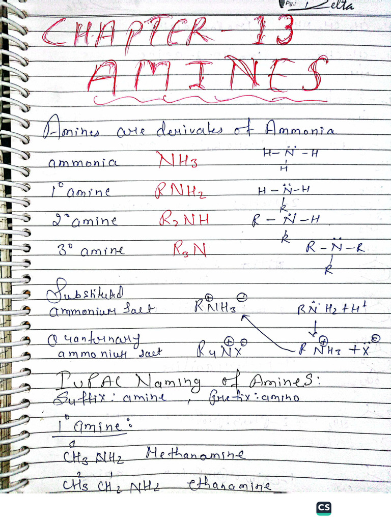 Amine | PDF
