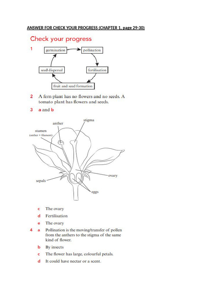 Chapter 1 Progress Check Answers | PDF