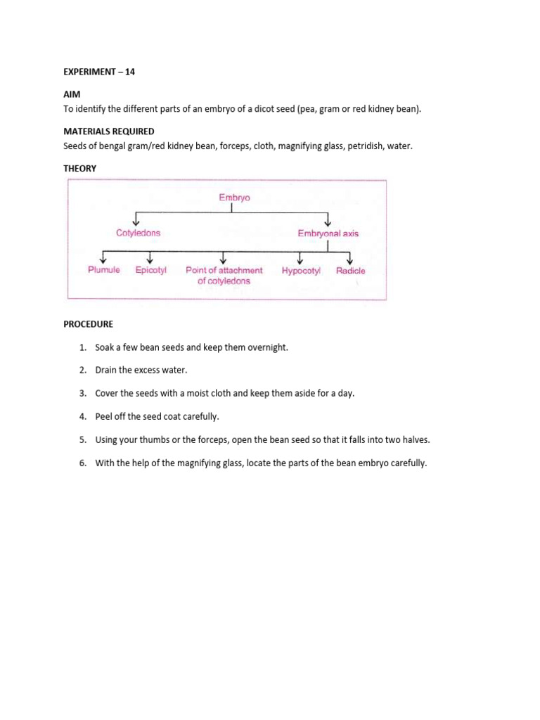 Dicot Seed Embryo Dissection Guide | PDF