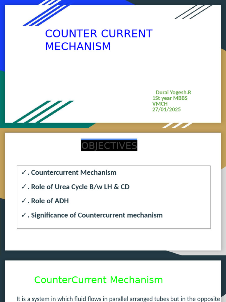 Countercurrent Mechanism in Kidneys | PDF | Kidney