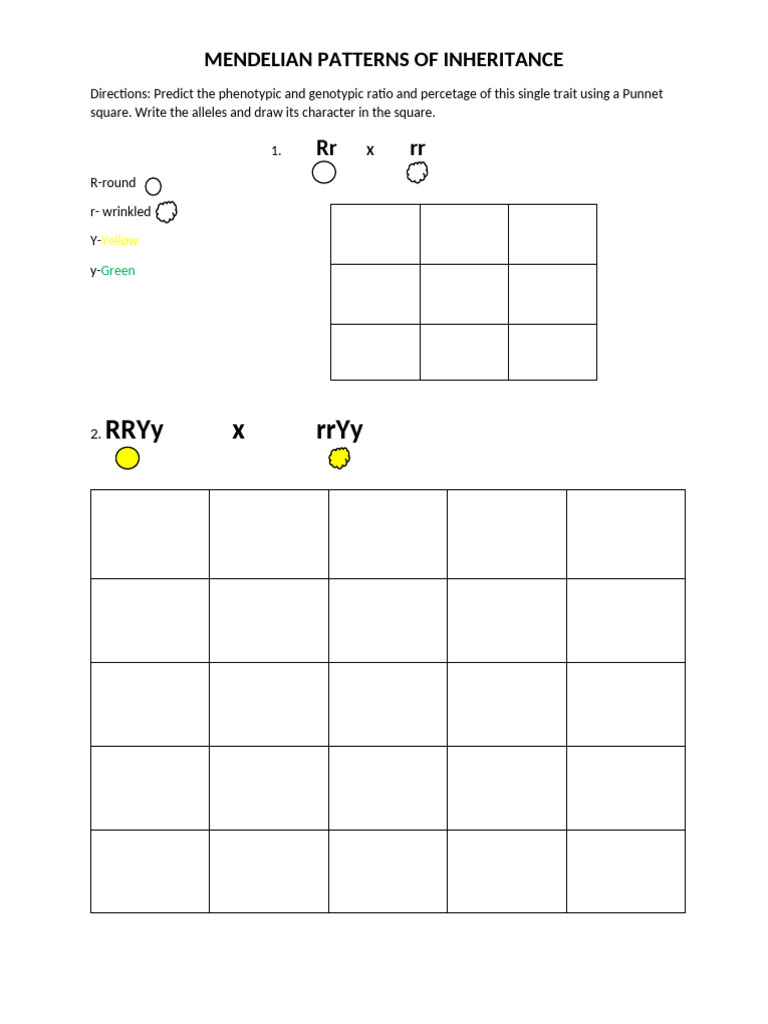 Punnett Square Inheritance Guide | PDF