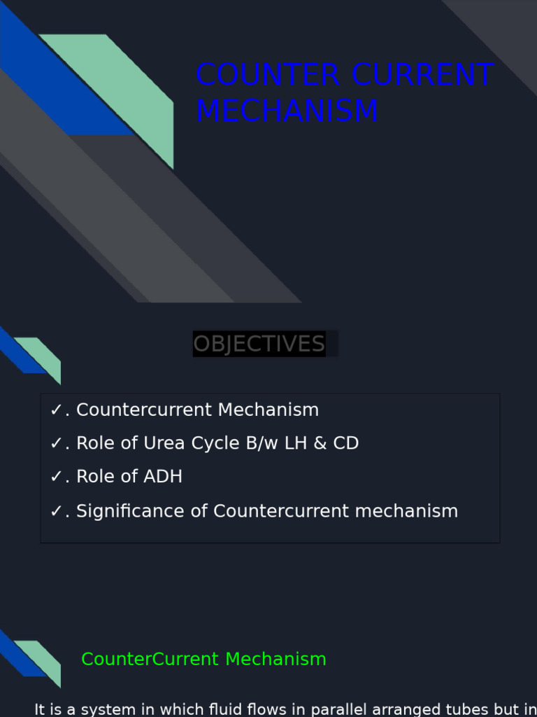 Counter Current Mechanism | PDF | Kidney | Abdomen
