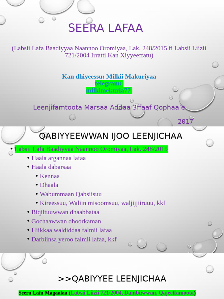 Lafa Fulb 2017 | PDF