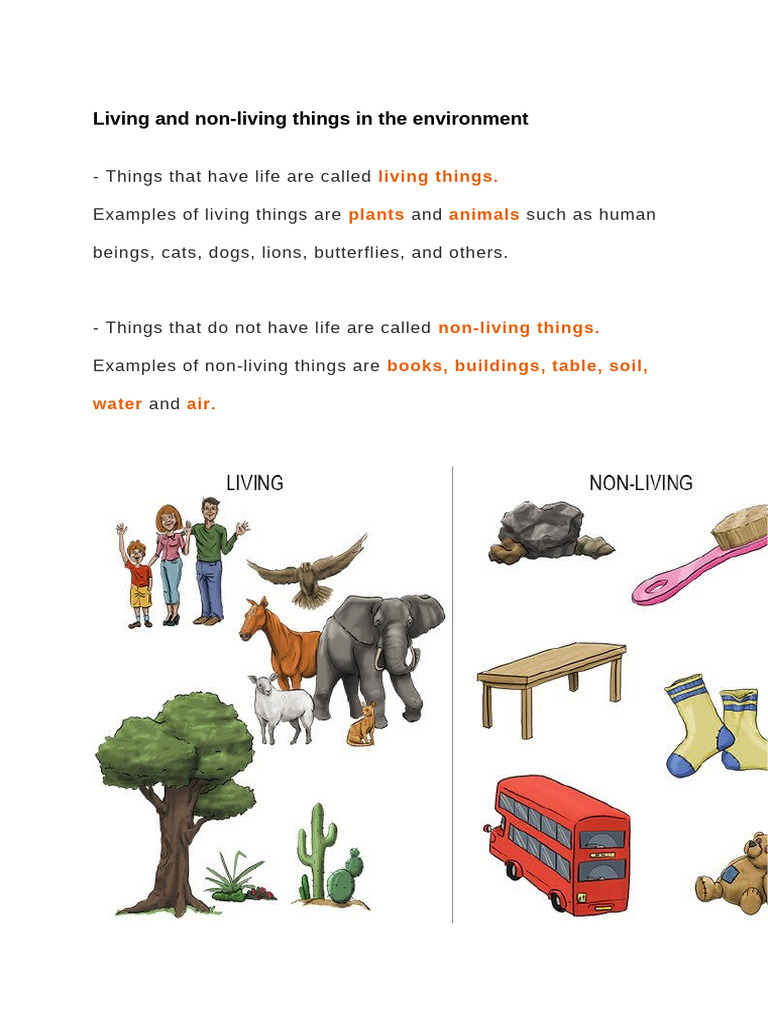 Grade 4 Science: Living & Non-Living Things | PDF | Cloud | Digestion