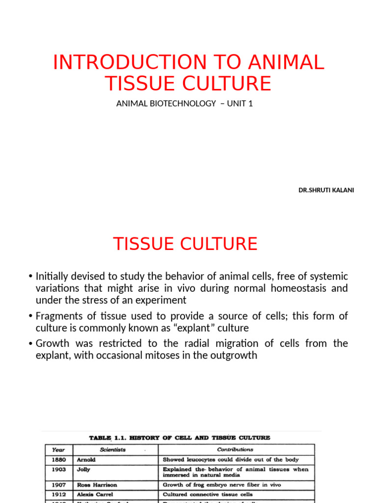 Introduction To Animal Tissue Culture | PDF | Cell Culture | Embryonic ...