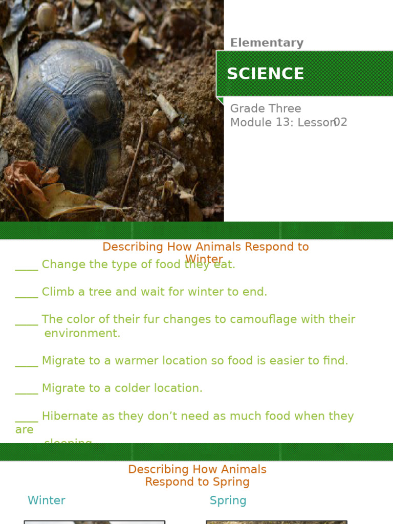 Animal Adaptations to Seasonal Changes | PDF