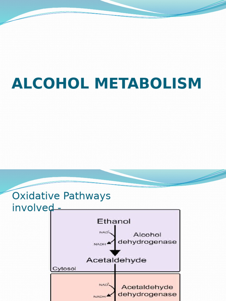 Alcohol Metabolism Pathways | PDF