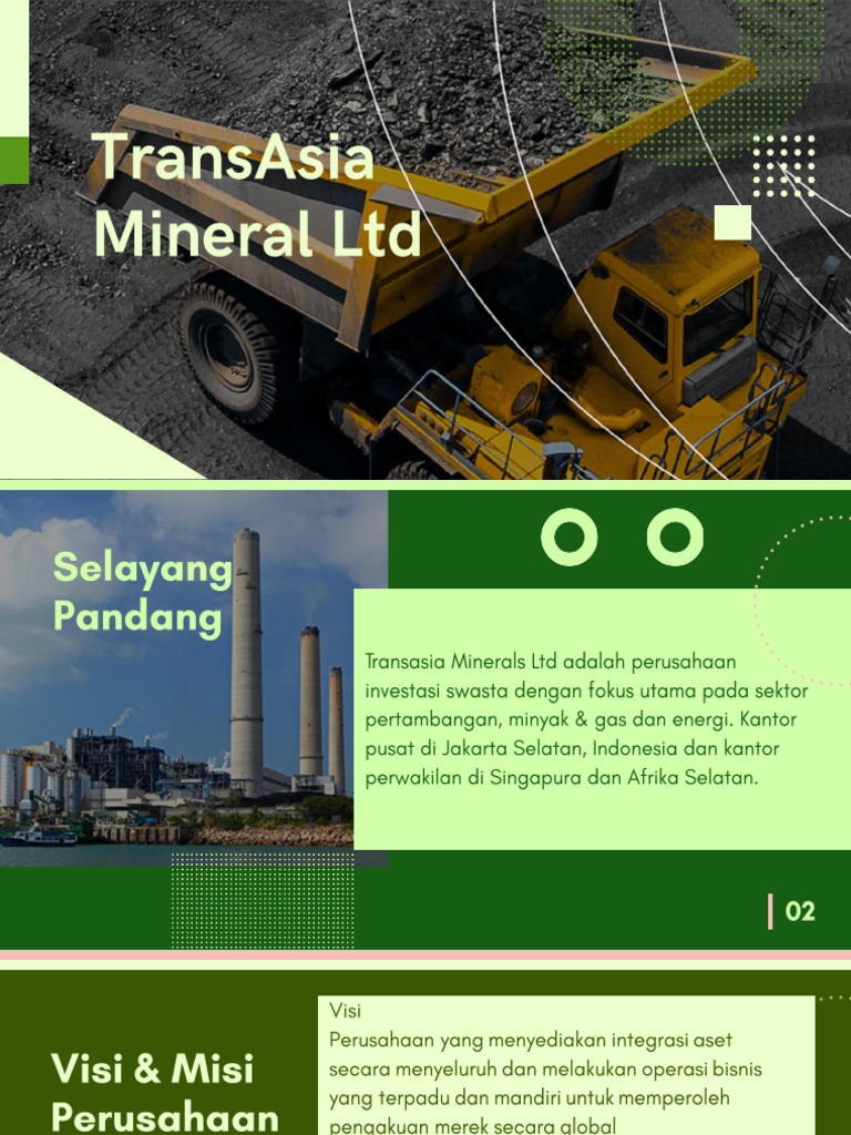Transasia Mineral LTD | PDF