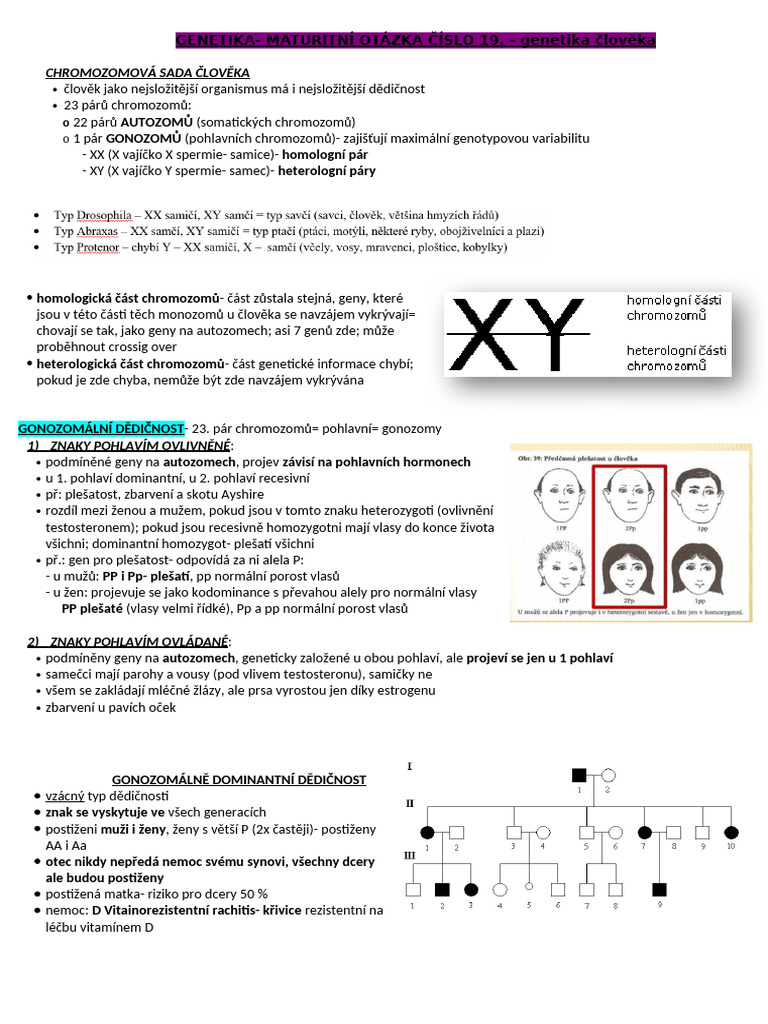 GENETIKA- MATURITNÍ OTÁZKA ČÍSLO 19 | PDF