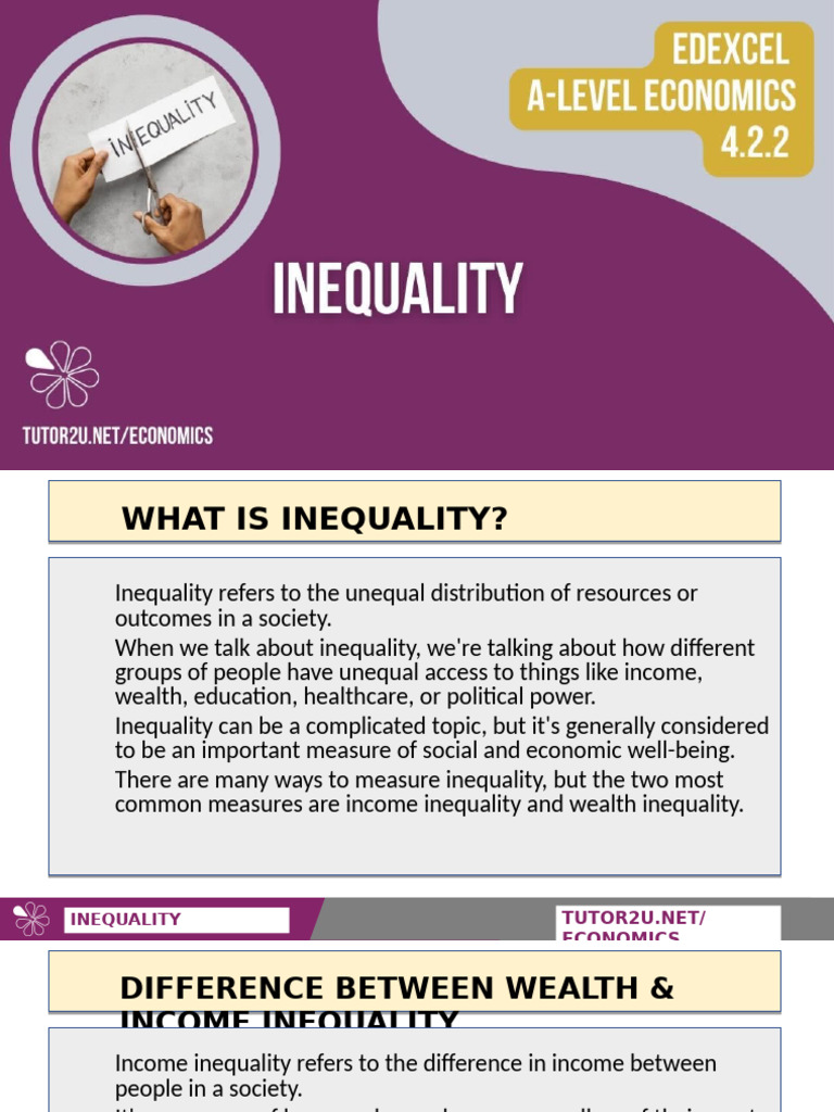Understanding Income and Wealth Inequality | PDF | Cost Of Living ...