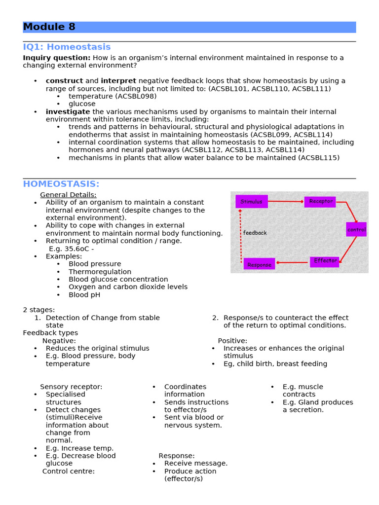 module-8-bio-hsc-notes | PDF | Kidney | Homeostasis