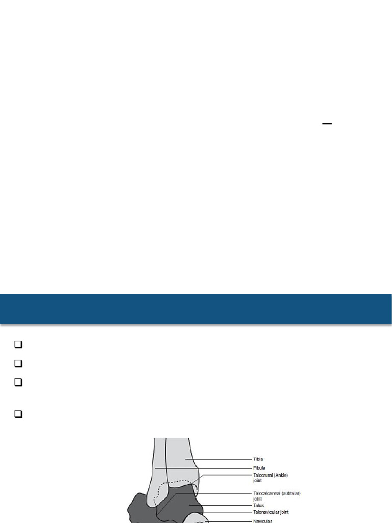 Ankle and Foot Biomechanics Overview | PDF | Foot | Ankle